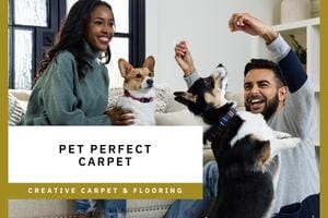 Pet Perfect Carpet for Pet Protection - Creative Carpet & Flooring