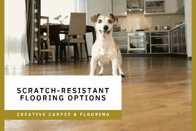 Scratch-Resistant Flooring Options - Creative Carpet & Flooring